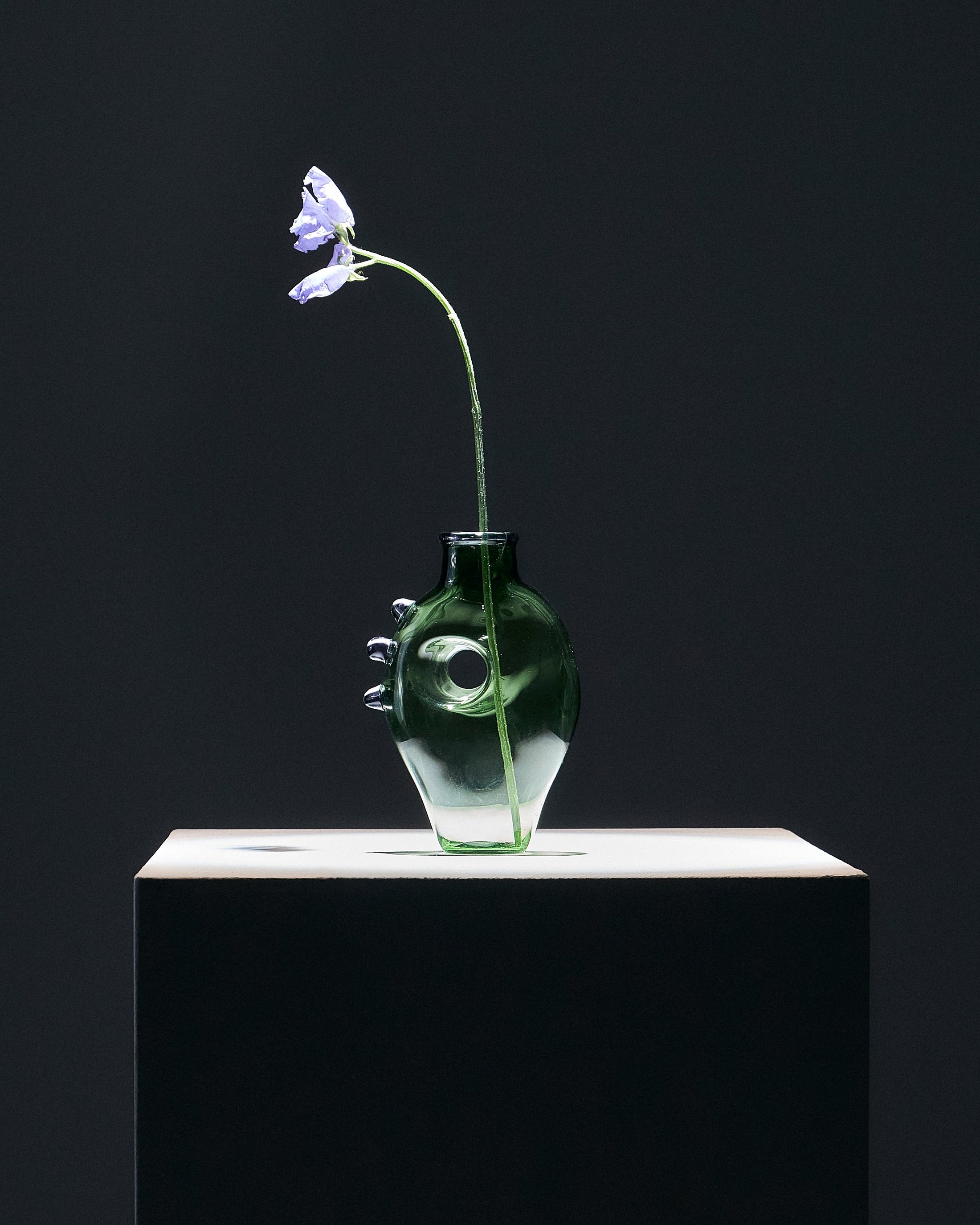 The Heart in Glass: A Valentine's Meditation – Ornamental by Lameice
